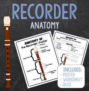 Recorder Anatomy - Teach From The Stage